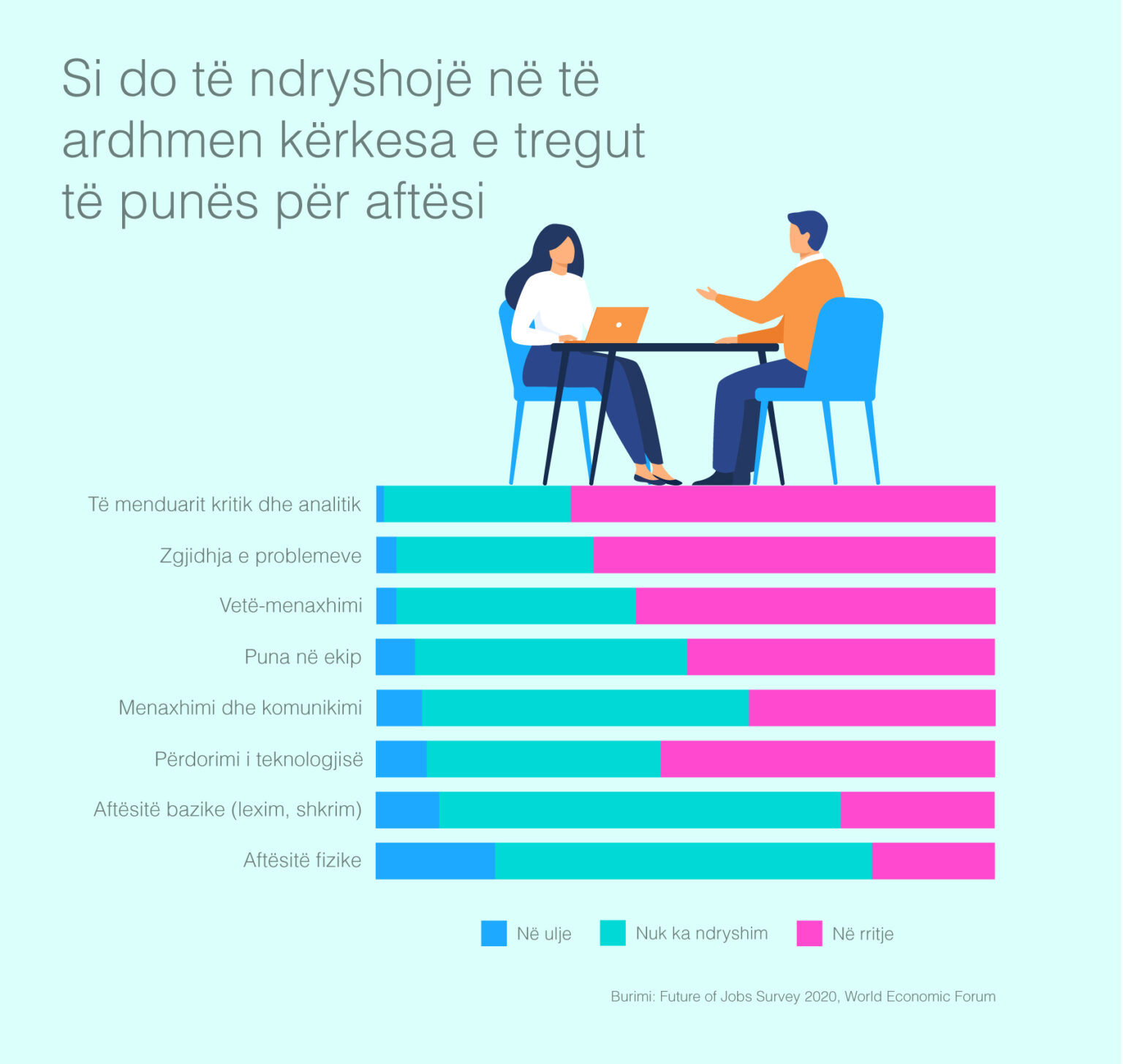 Profesionet e së ardhmes - Skills For Jobs